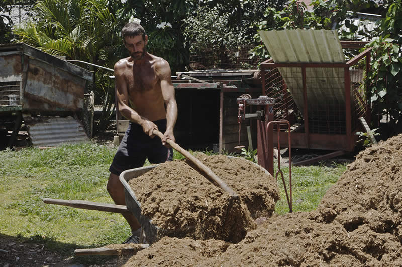Sheena Jolley Projetcs - Na Redlegs - The Invisible Irish in Barbados